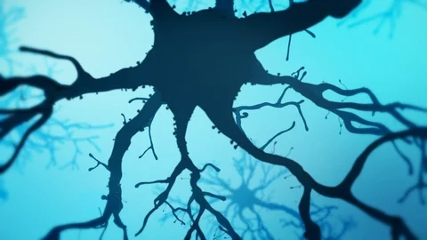 Neuron cells network slow zoom out. Insi... | Stock Video | Pond5