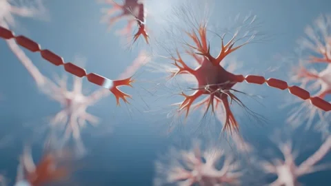 Neuron cells with synapses in human brai... | Stock Video | Pond5