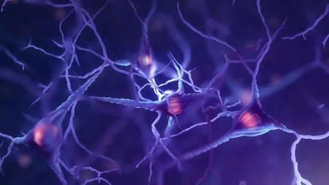 neuron loss cell animation | Brain cells... | Stock Video | Pond5
