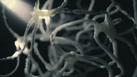 Neuron Cells Stock Footage ~ Royalty Free Stock Videos | Pond5