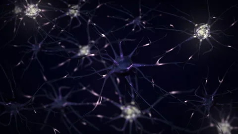 Neuronal and Synapse Activity animation.... | Stock Video | Pond5