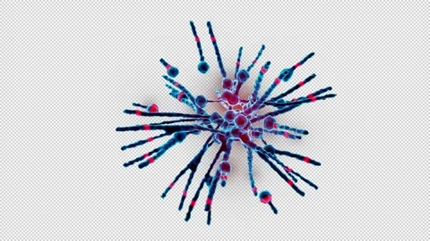 Neurons Alpha Channel Looped Video | Stock Video | Pond5