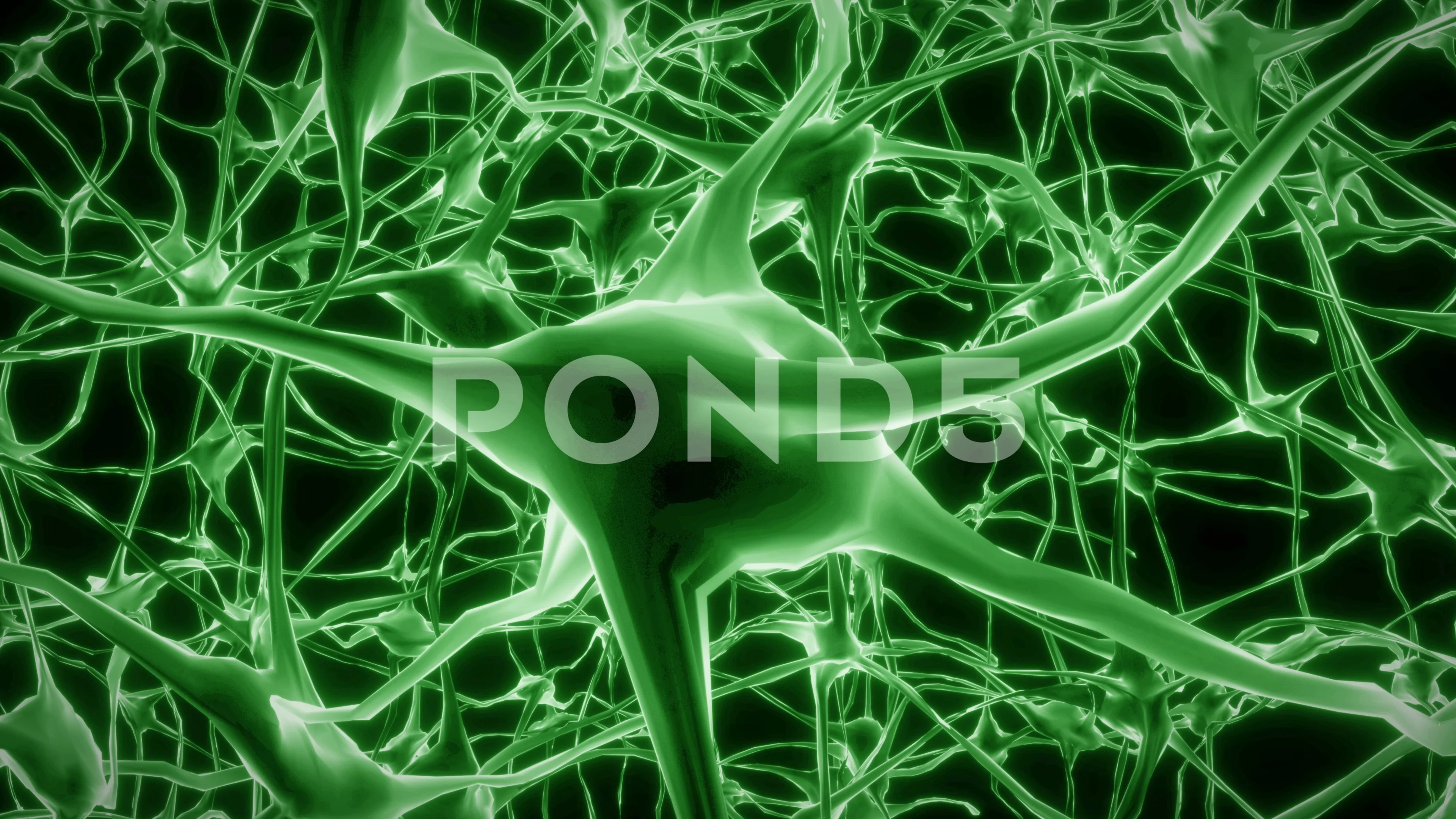 Neurons In The Brain Wallpaper