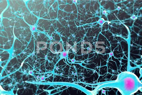 Neurons in the brain with a nucleus inside on black background. 3d ...