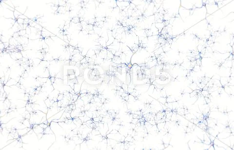 Neurons in the brain on white background with focus effect. 3d ...