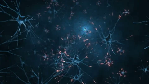 Neurons Firing Gif Neuron Brain Synapse Stock Video Footage | Royalty