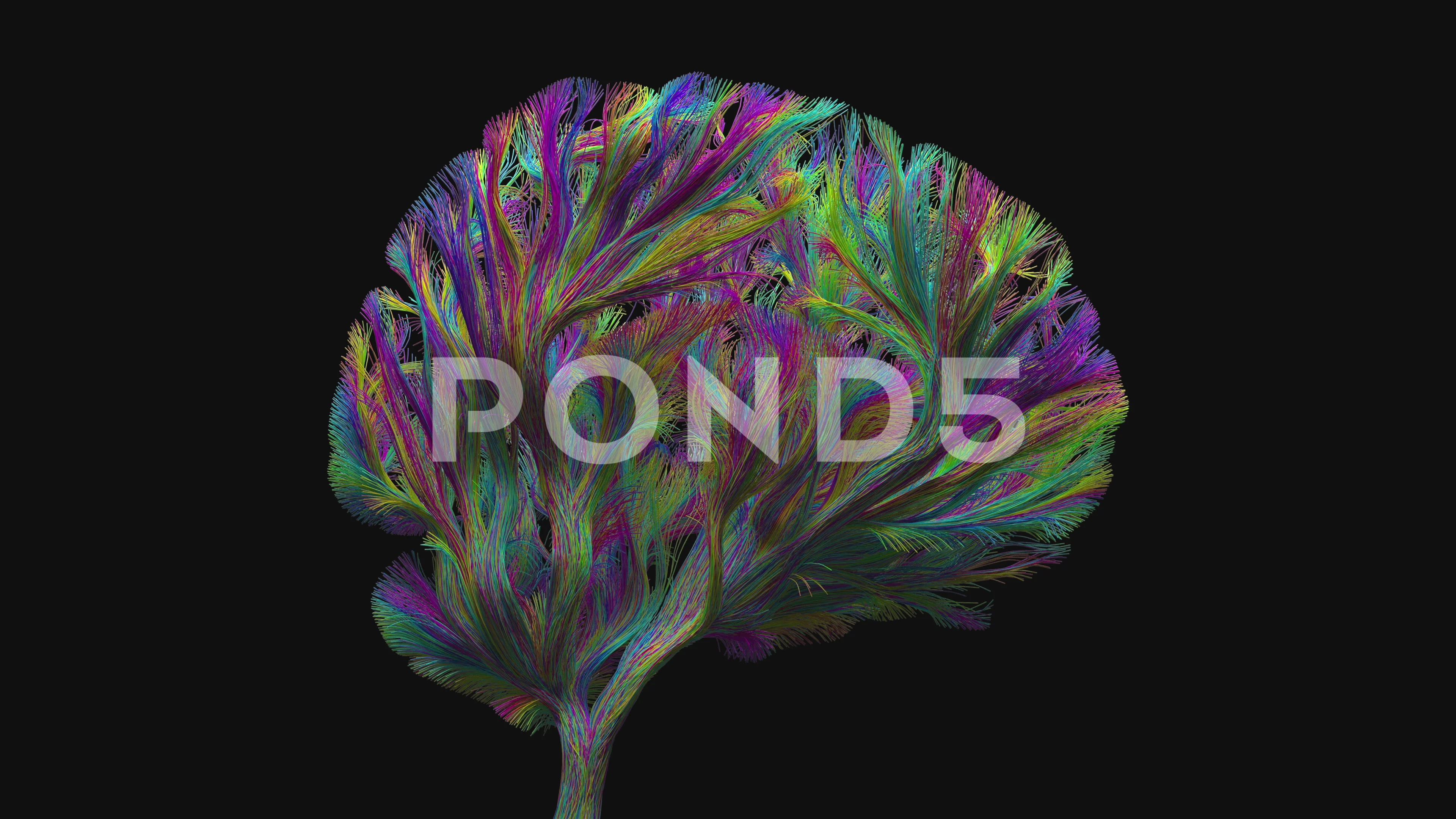 Genius Brain Wallpaper