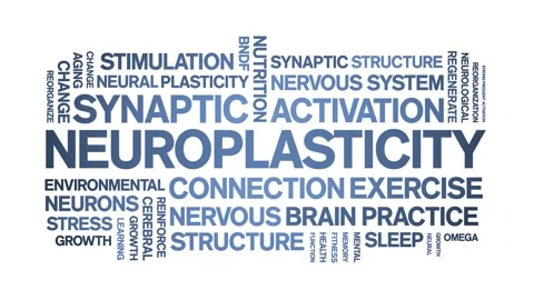 Neuroplasticity animated word cloud,anim... | Stock Video | Pond5