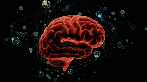 Neuroplasticity. Rewiring the brain. Con... | Stock Video | Pond5