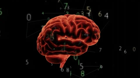 Neuroplasticity Stock Videos – Royalty-Free HD & 4K Videos | Pond5