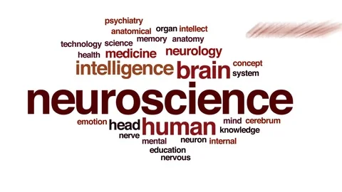 Neuroscience animated word cloud, text d... | Stock Video | Pond5