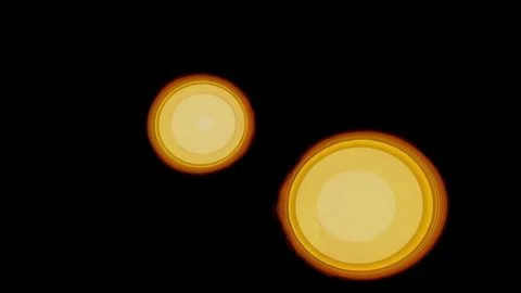 Brightli Merger Stock Videos – Royalty-Free HD & 4K Videos | Pond5