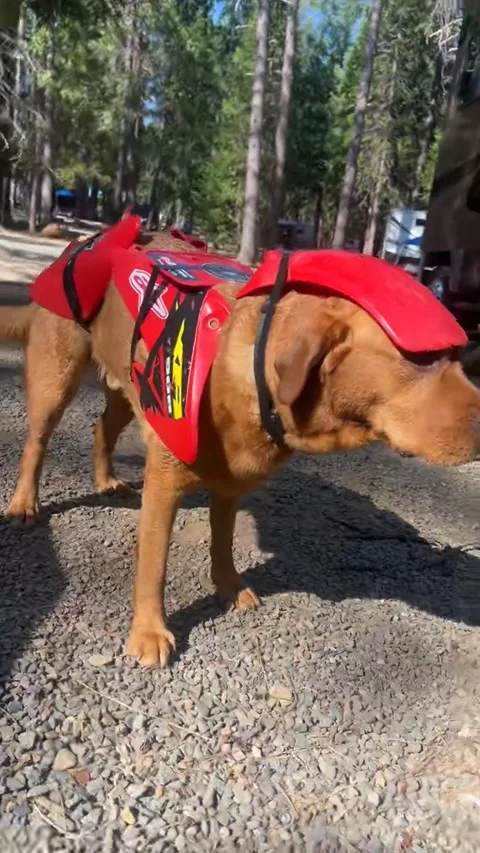 New Englang Cc Stock Videos – Royalty-Free HD & 4K Videos