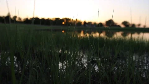 Videos I Like Stock Videos – Royalty-Free HD & 4K Videos