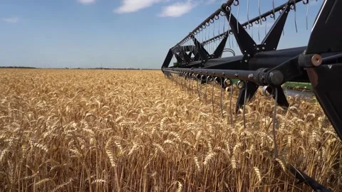 Food Shortage Stock Video Footage | Royalty Free Food Shortage Videos ...