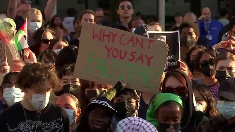 New York college students rally for Pale... | Stock Video | Pond5