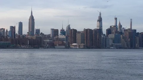 Newyorker Video Stock Videos – Royalty-Free HD & 4K Videos | Pond5