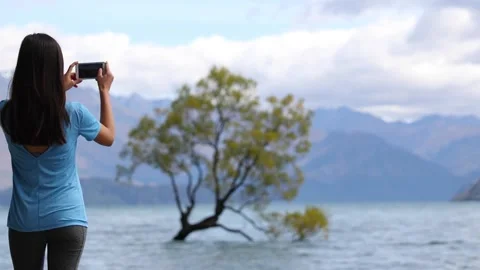 New Zealand Pictures Stock Videos – Royalty-Free HD & 4K Videos