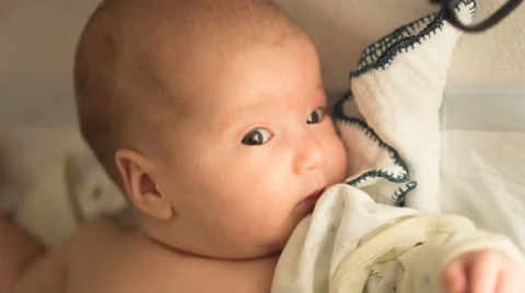 Nakd Kids Videos Stock Videos – Royalty-Free HD & 4K Videos | Page 3