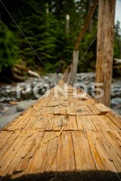 Newly Made Log Bridge Along The Carbon River In Mount Rainier ~ Hi Res ...