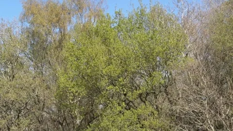 Newly Open Stock Videos – Royalty-Free HD & 4K Videos | Pond5