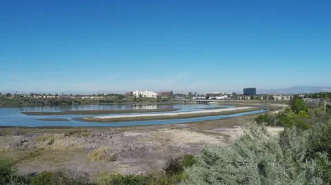 Newport Beach Back Bay Conservation Area... | Stock Video | Pond5
