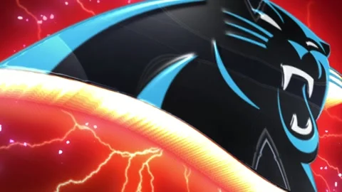 Panthers Icon Stock Videos – Royalty-Free HD & 4K Videos | Pond5