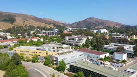 Nice Shot From Stock Videos – Royalty-Free HD & 4K Videos