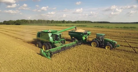 Nice Shot From Stock Videos – Royalty-Free HD & 4K Videos