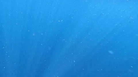 Nice underwater view of blue sea and sun... | Stock Video | Pond5