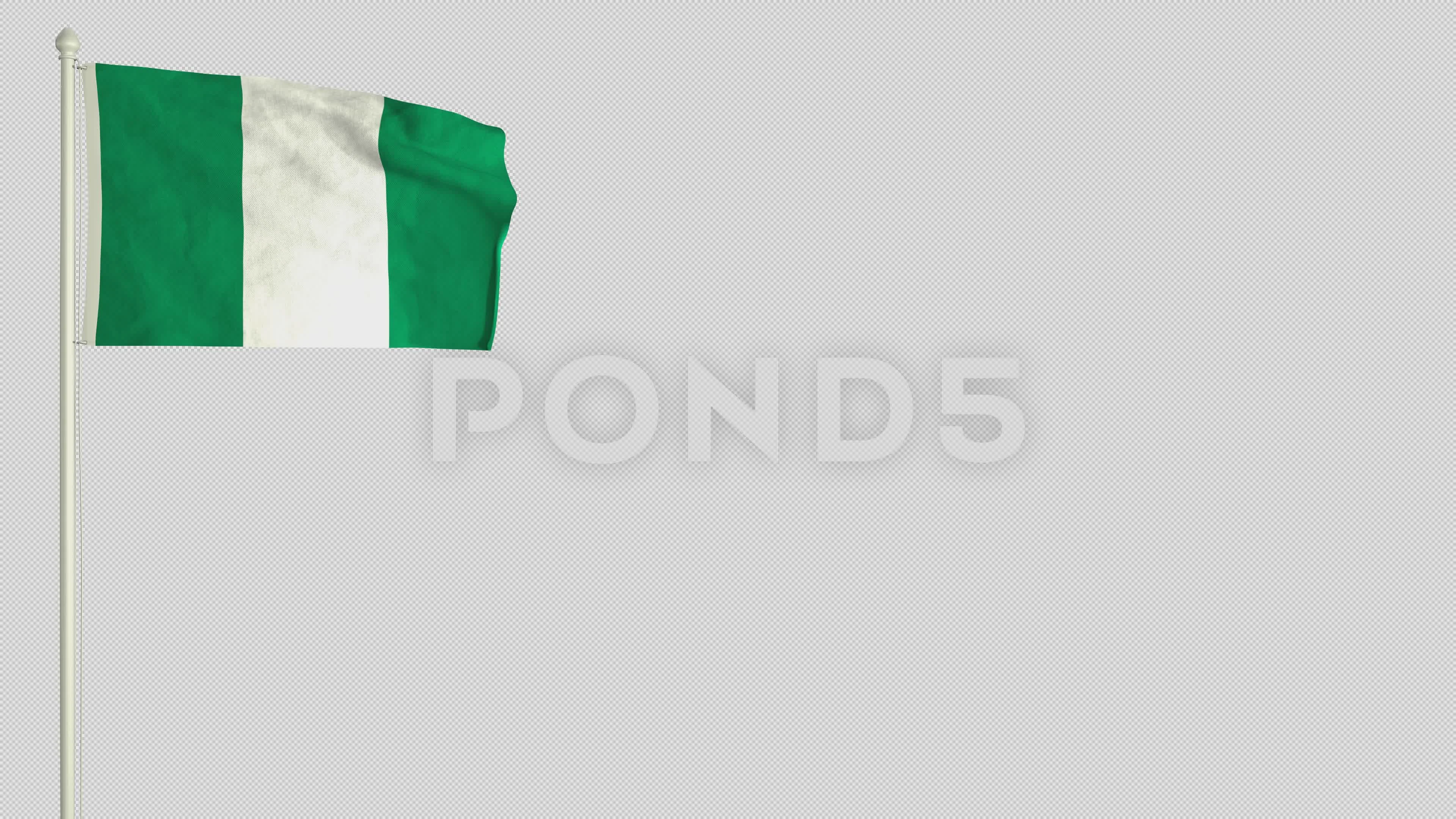 Nigerian Flag Png