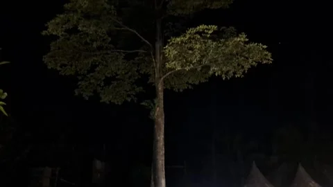 Underneath The Stars Stock Videos – Royalty-Free HD & 4K Videos | Pond5