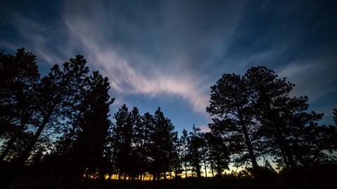 Forest Night Time Lapse Stock Video Footage | Royalty Free Forest Night ...