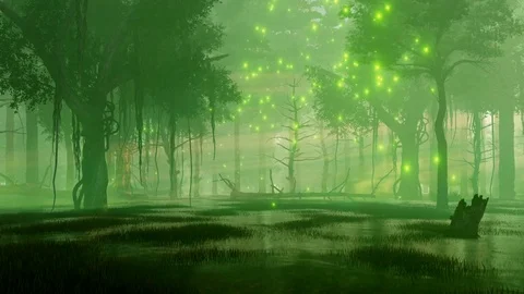 Swamp Night Stock Video Footage | Royalty Free Swamp Night Videos | Pond5