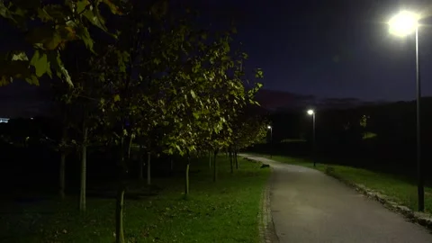 Wind Trees Night Stock Footage ~ Royalty Free Stock Videos | Pond5