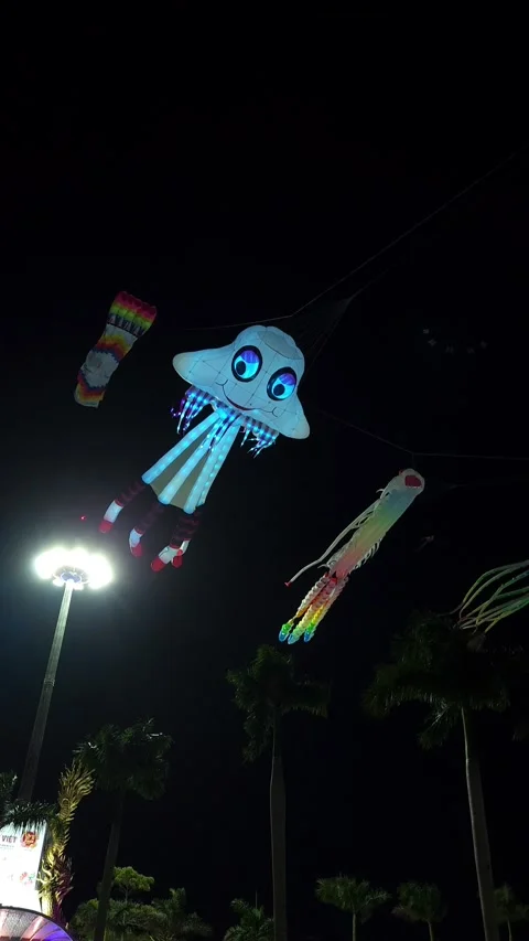 Night Kite Stock Videos – Royalty-Free HD & 4K Videos