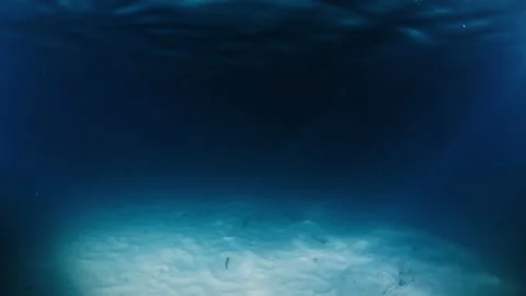 Night sea. Underwater view of the night ... | Stock Video | Pond5