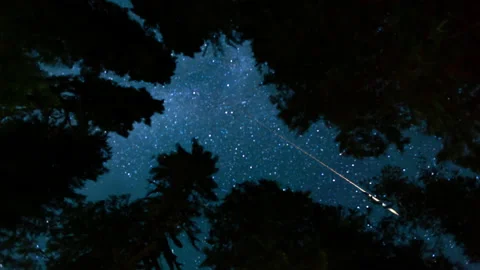 4K Shooting Star Stock Video Footage | Royalty Free 4K Shooting Star ...