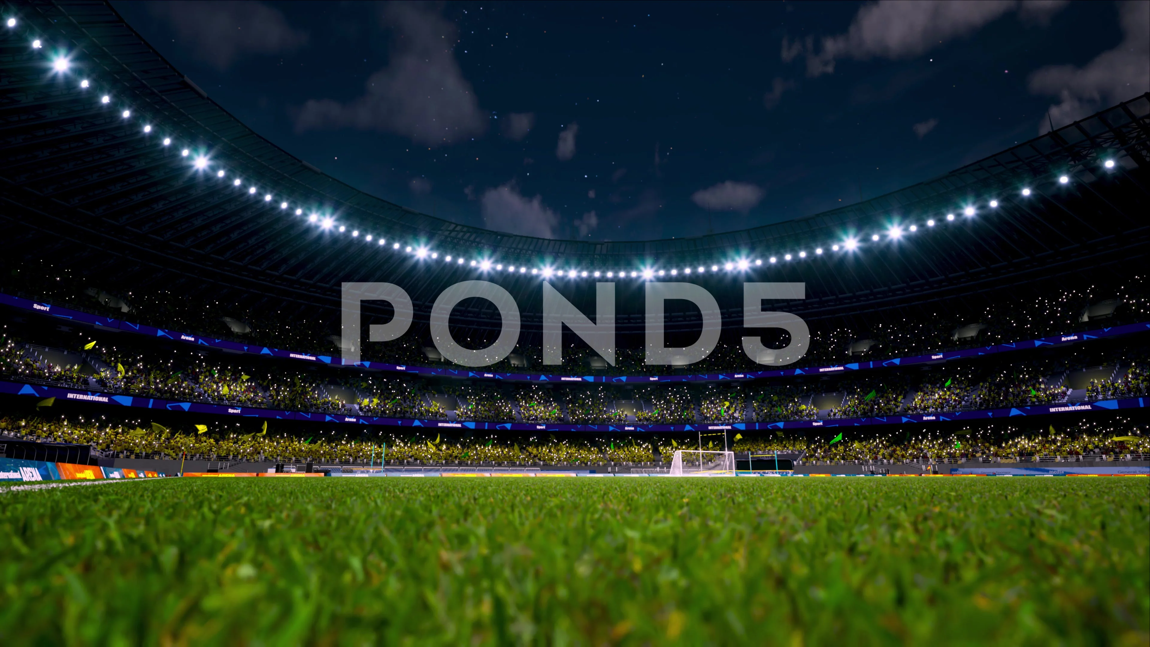 Soccer Stadium Fans At Night