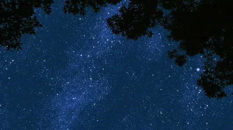 One4 Night At Stock Videos – Royalty-Free HD & 4K Videos