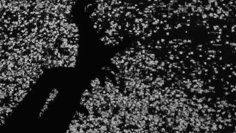 Zombie Night Movie Stock Videos – Royalty-Free HD & 4K Videos