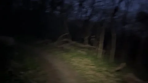 Running Through Woods Night Stock Videos – Royalty-Free HD & 4K Videos