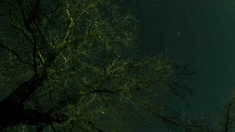 Bg Celesrial Stock Videos – Royalty-Free HD & 4K Videos