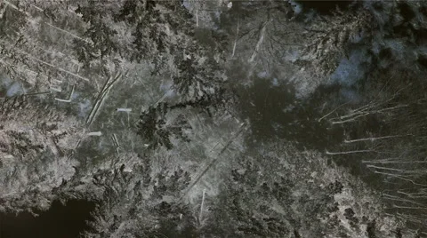 Night Vision Aerial Birds Eye View Fores... | Stock Video | Pond5