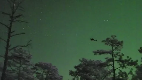 Treeline Night Stock Footage ~ Royalty Free Stock Videos | Pond5