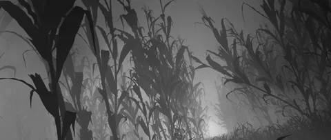 Nightmare loop in dark and scary corn fi... | Stock Video | Pond5