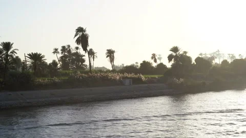 Nile River Farms and Lush Greens at Sunr... | Stock Video | Pond5