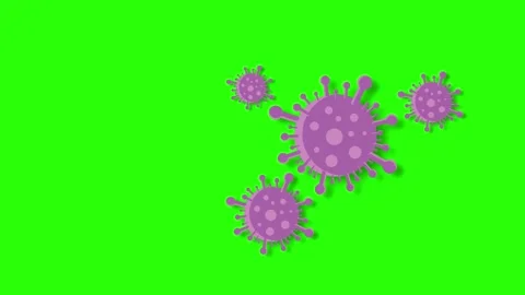 Indian Bat Virus Stock Videos – Royalty-Free HD & 4K Videos | Pond5