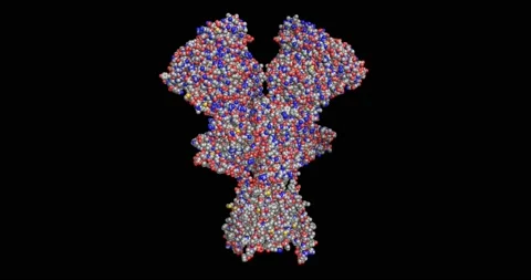 NMDA receptor molecule 3D render chemica... | Stock Video | Pond5