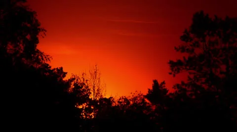 Beautiful Bit Stock Videos – Royalty-Free HD & 4K Videos | Page 5